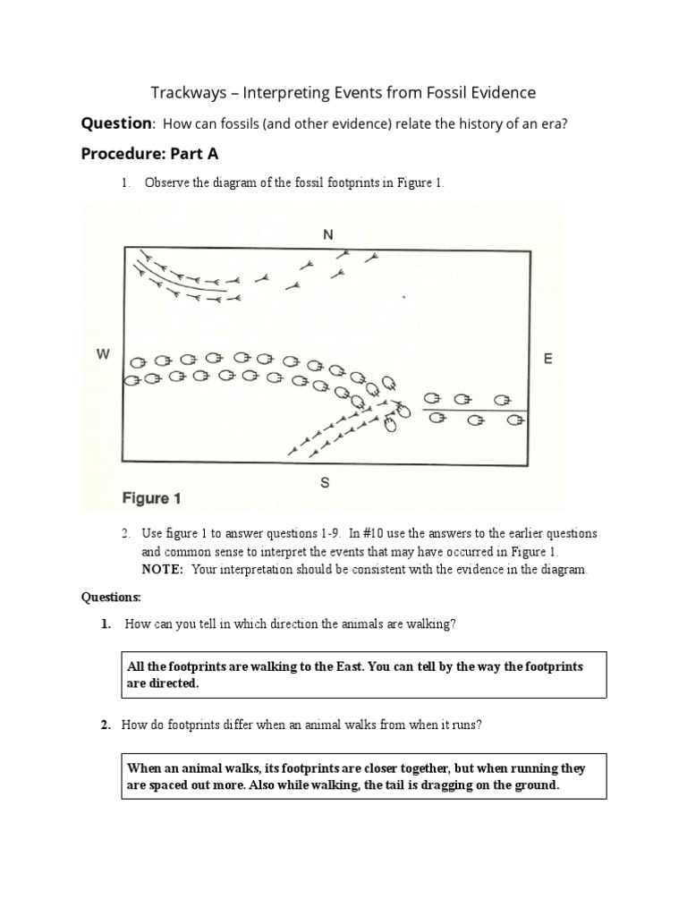 Revised Trackways Lab | PDF