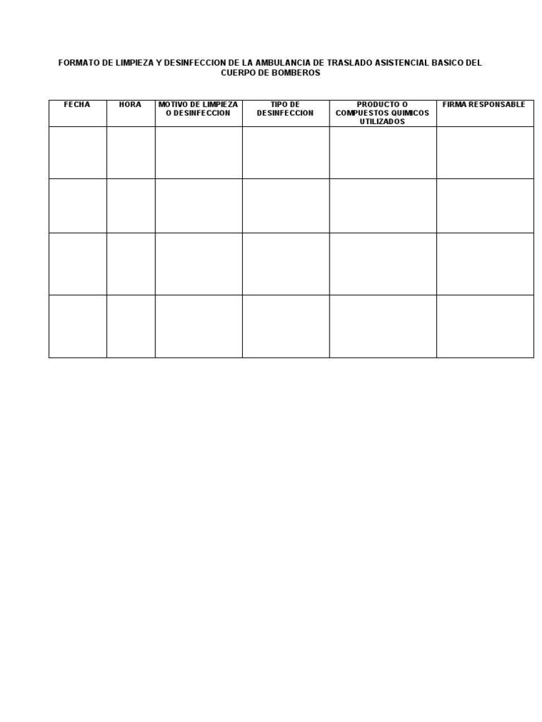 Formato Basico | PDF
