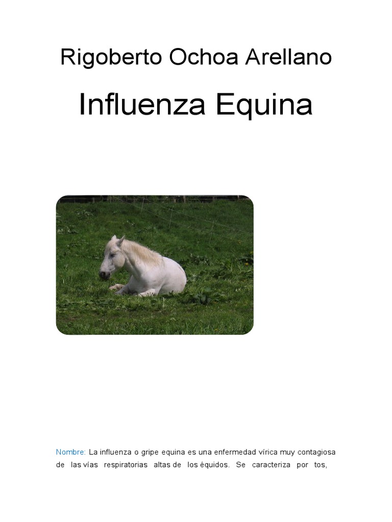 Influenza Equina | PDF | Influenza | Virus