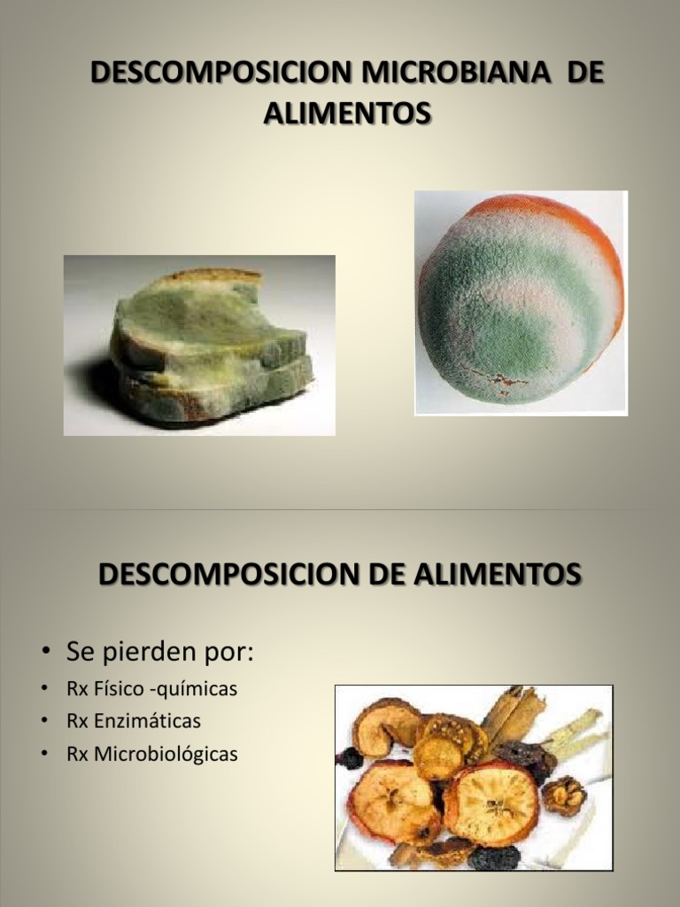 Descomposicion de Alimentos | PDF | Descomposición | Microorganismo