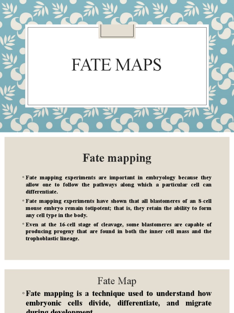 Fate Maps 17-11-2019 | PDF | Science & Mathematics