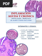 En Qué Consiste El MAPA y AMPA | PDF | Hipertensión | Presión sanguínea
