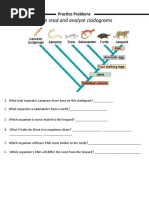 Classification Jeopardy Review | PDF | Scientific Classification | Nature