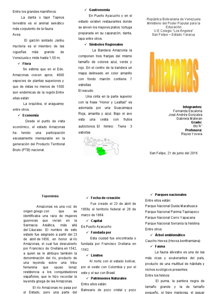 Triptico Estado Amazonas | PDF | Naturaleza