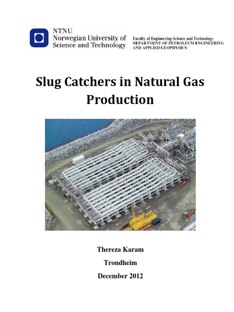 Slug Catchers in Natural Gas Production | PDF | Fluid Dynamics | Liquids