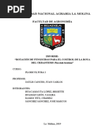 CONTROL DE CLADOSPORIO (Fulvia Fulva) EN TOMATE | PDF