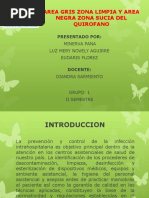 Zonas del Quirófano: Área Gris y Funciones | PDF