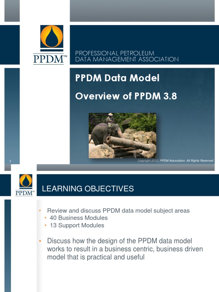 PPDM Data Model Overview 3.8 | PDF | Stratigraphy | Metadata