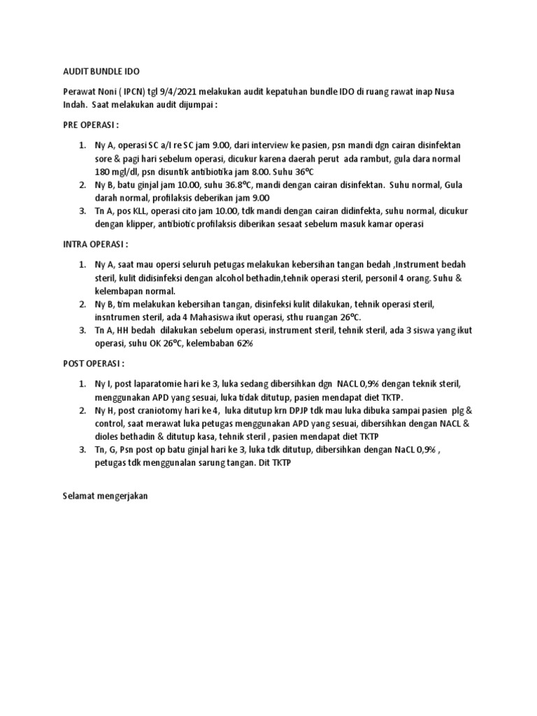 Audit Bundle Ido | PDF