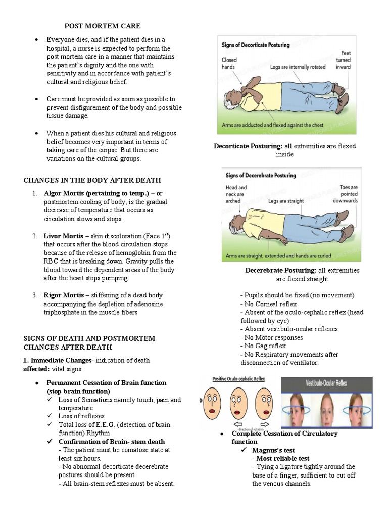 Post Mortem Care | PDF | Death | Physiology