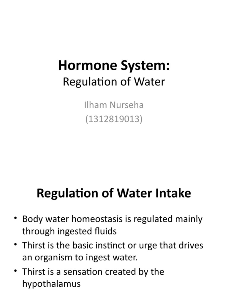 Hormone System:: Regulation of Water | PDF | Cooking, Food & Wine ...
