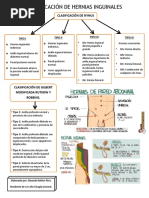 Incisión Rocky Davis | PDF | Medicina CLINICA | Anatomía