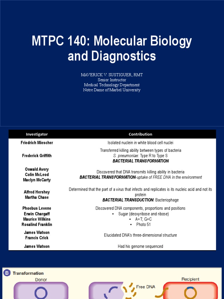 MTPC 140: Molecular Biology and Diagnostics | PDF | Translation ...