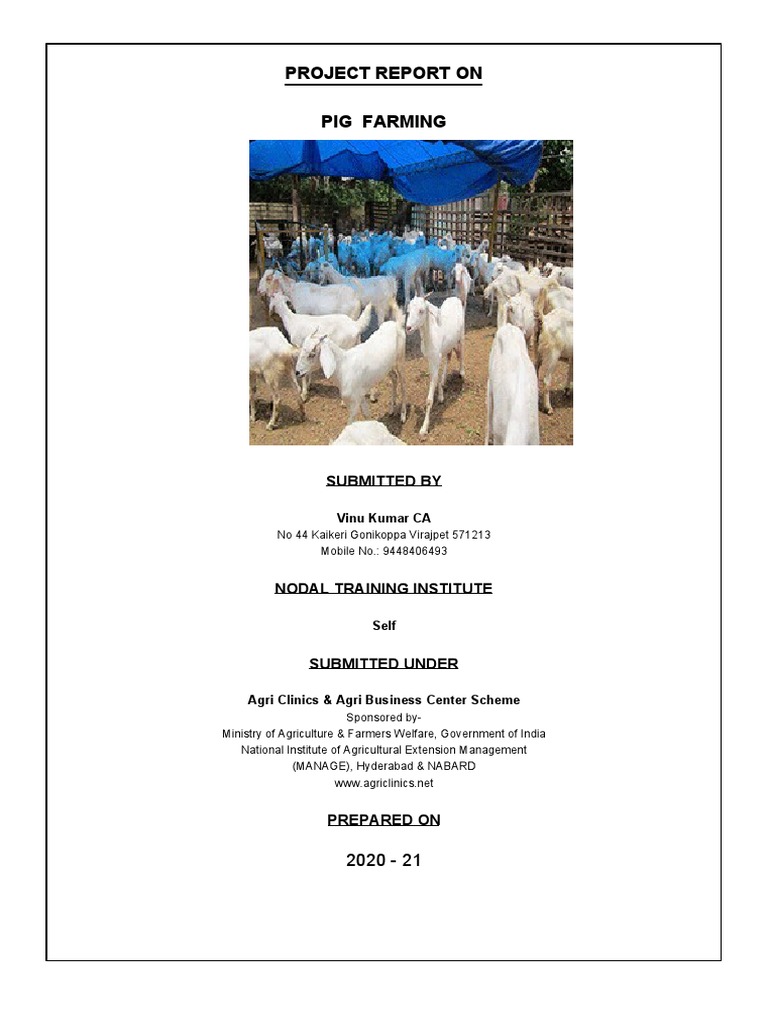 Pig Farming Project Report Overview | PDF | Meat | Farms