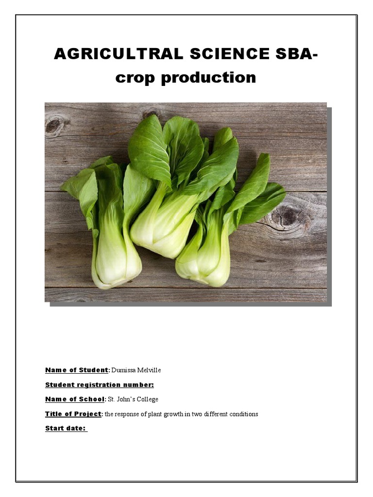 Agricultral Science Sba | PDF | Vegan Cuisine | Vegetables