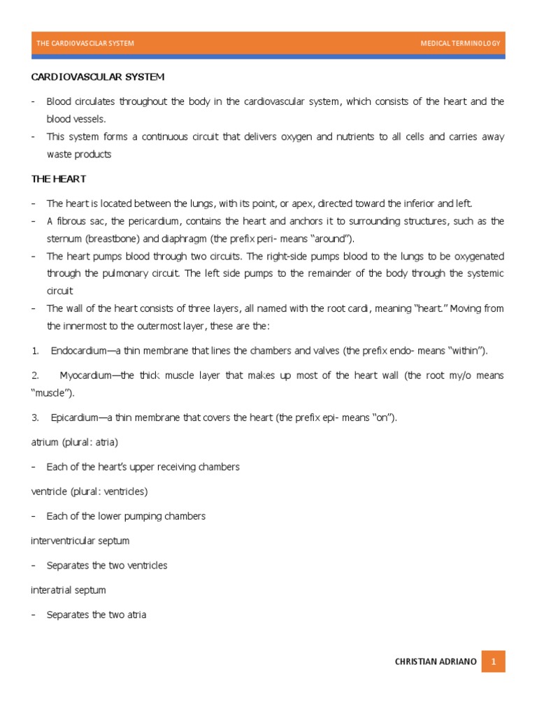The Cardiovascilar System Medical Terminology | Download Free PDF ...