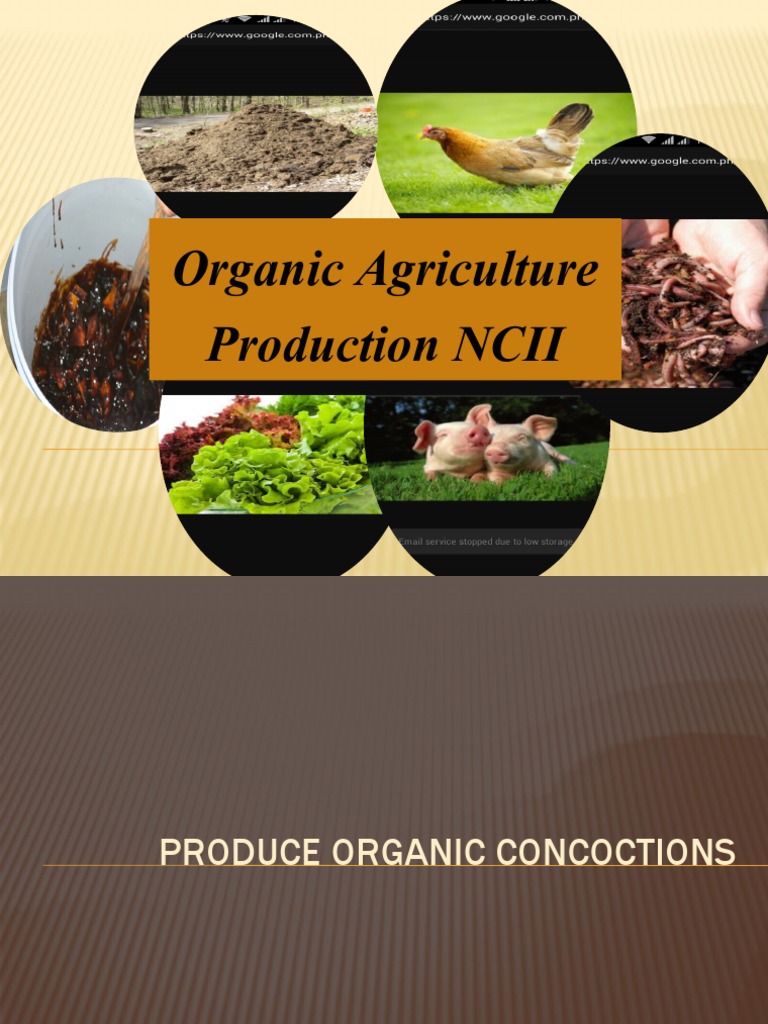 Organic Agriculture Production NCII: Guide to Organic Fertilizers and ...