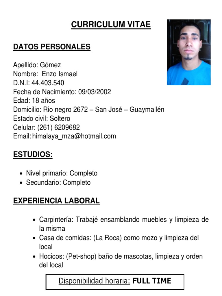 CURRICULUM VITAE Enzo Gomez | PDF