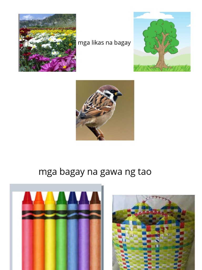 Mga Bagay Na Gawa NG Tao 1 | PDF