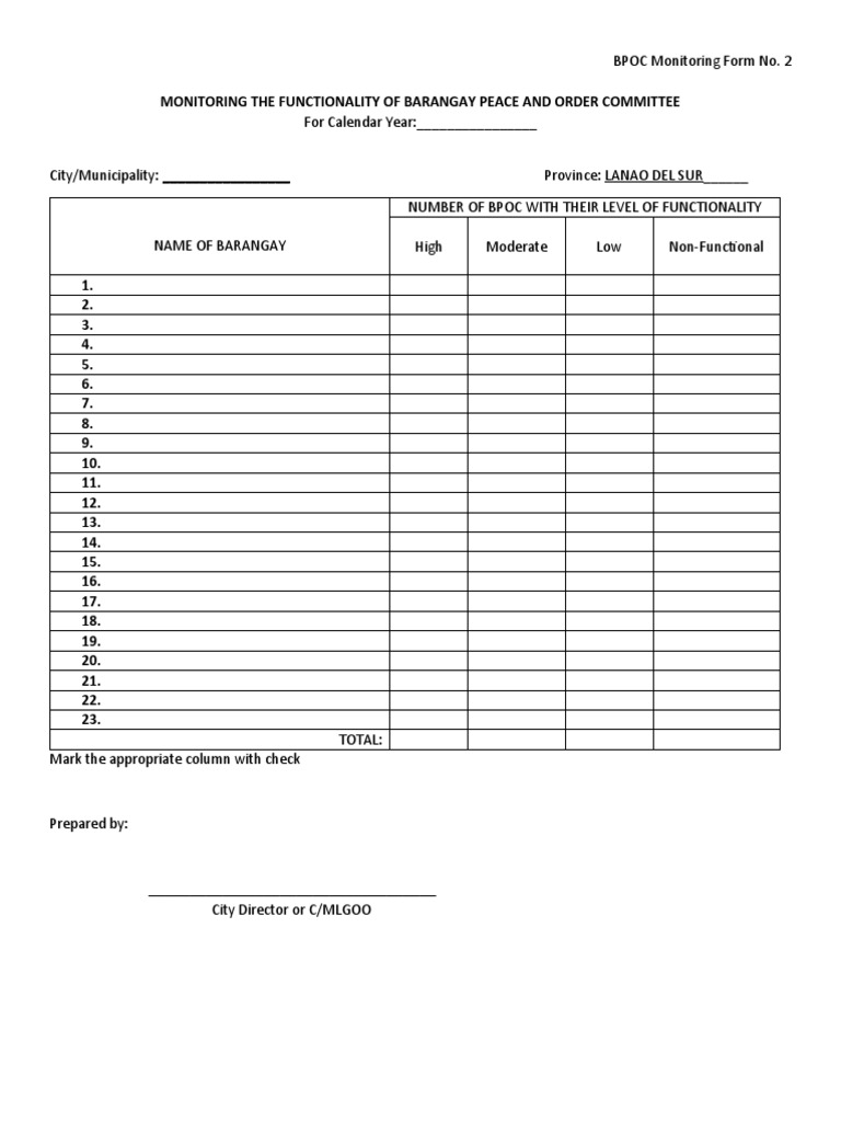 BLANK BPOC Monitoring Form No. 2 | PDF
