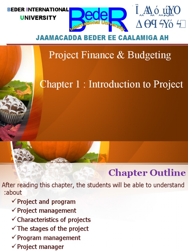 Chap 1 Introduction To Project | PDF | Project Management | Goal