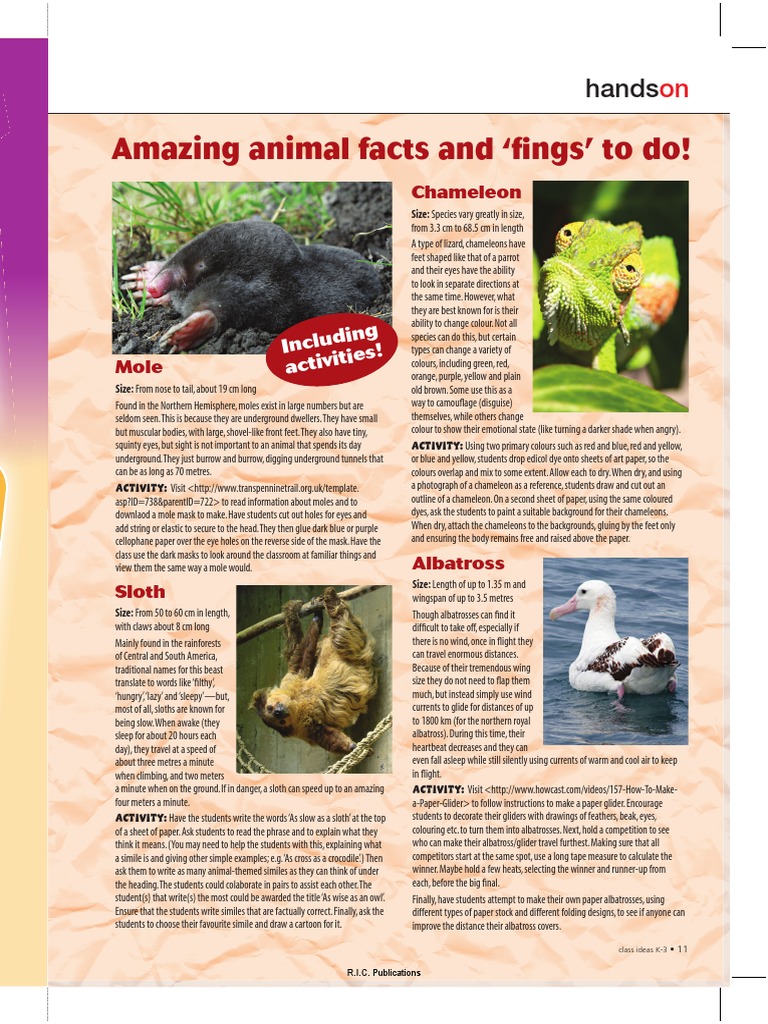 Amazing-Animals-Activities Freebie From RIC Publications | PDF | Color ...