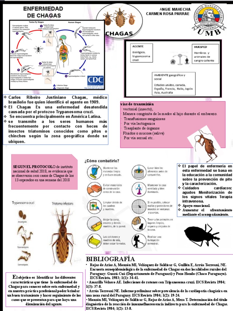 Chagas Poster | PDF | Enfermedades animales | Enfermedades y trastornos