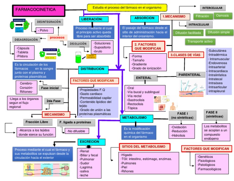 Mapa Conceptual Terminado | PDF | Bioquímica | Química