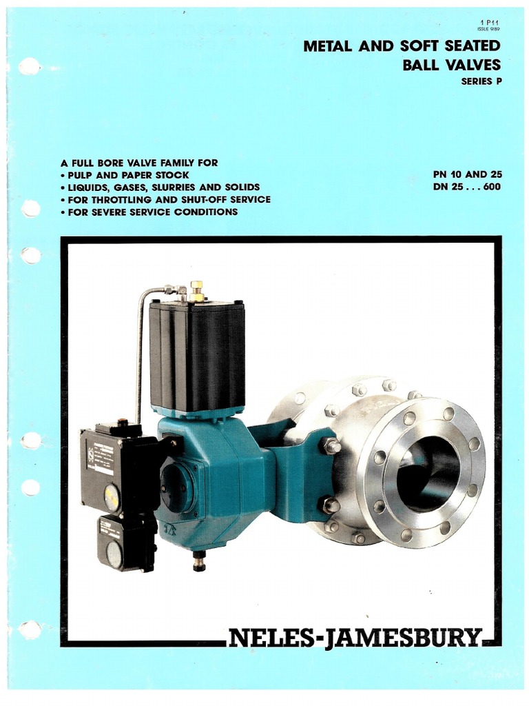 NELES P Series | PDF