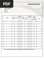 Formato de Control Vehicular | PDF