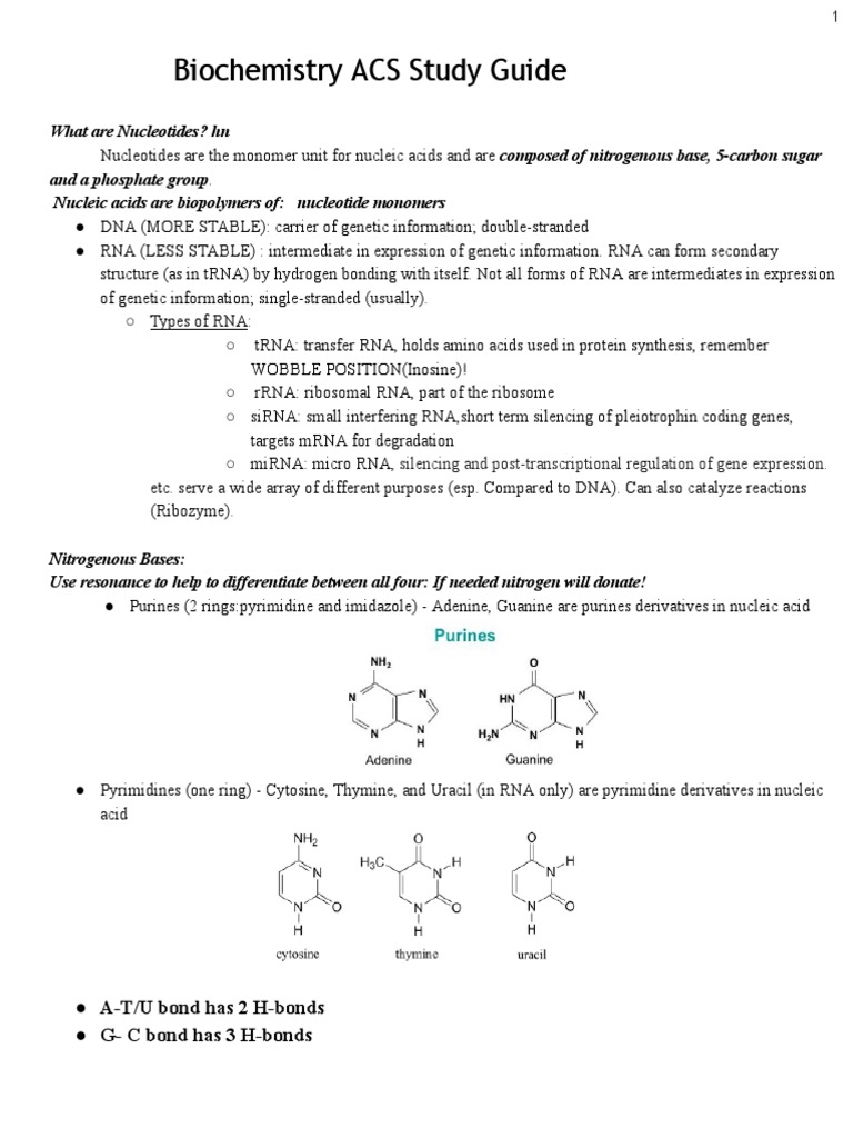 Biochem ACS Study Guide | PDF | Rna | Adenosine Triphosphate