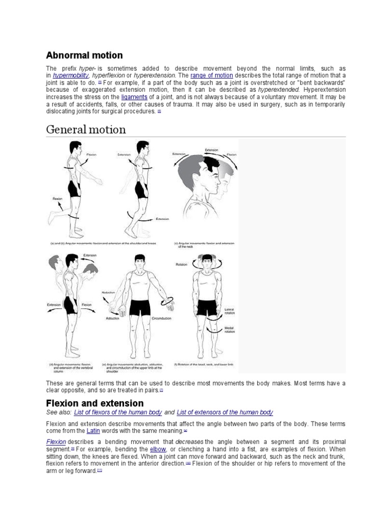Range of Motion | PDF | Anatomical Terms Of Motion | Limbs (Anatomy)