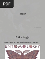 Ptice, Prezentacija | PDF