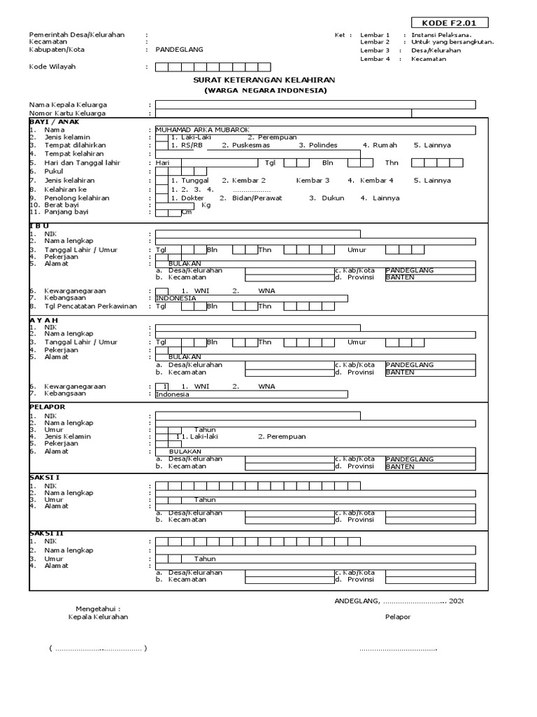 9113-Formulir Akte Kelahiran | PDF