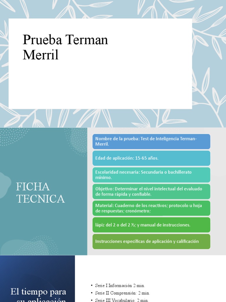 Prueba Terman Merril (Inteligencia) | PDF