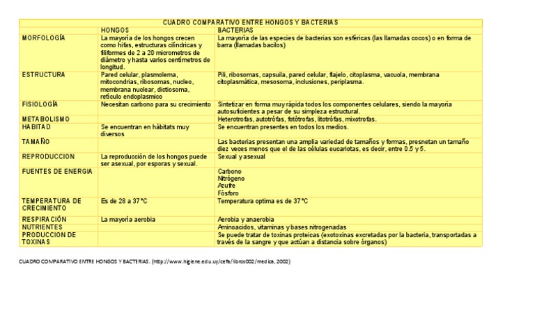 Cuadro Comparativo Entre Hongos y Bacterias | Descargar gratis PDF ...