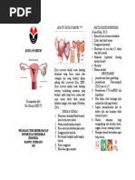 Leaflet Kista Ovarium | PDF