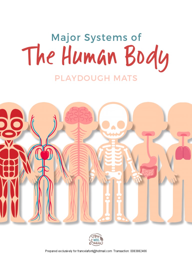Human Body Systems Playdough Mats | PDF | Human Body | Circulatory System