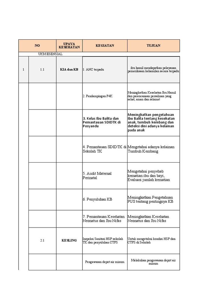 Contoh RPK Bulanan | PDF