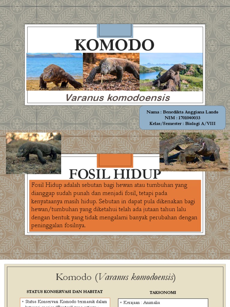 Komodo Pdf