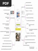 Mapa Mental Motor Wankel - Granda David | PDF