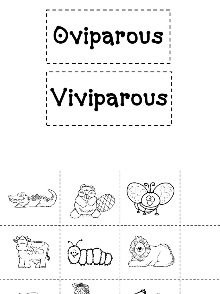 Oviparous and Viviparous Sort Student Copy