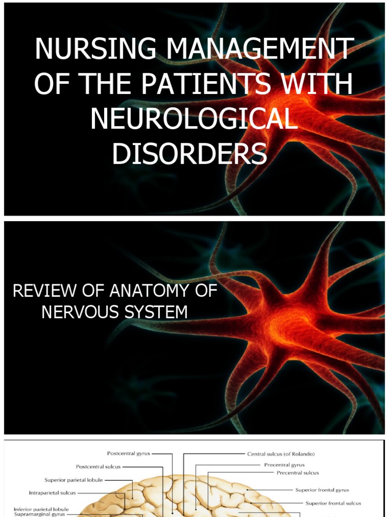 Neurological Assessment | PDF | Nervous System | Central Nervous System