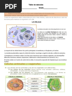 Actividad Evaluativa de La Célula Final Grado 5 | PDF | Biología Celular) | Plantas