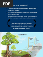 Mapa Conceptual de Ecosistema | PDF | Ecosistema | Suelo