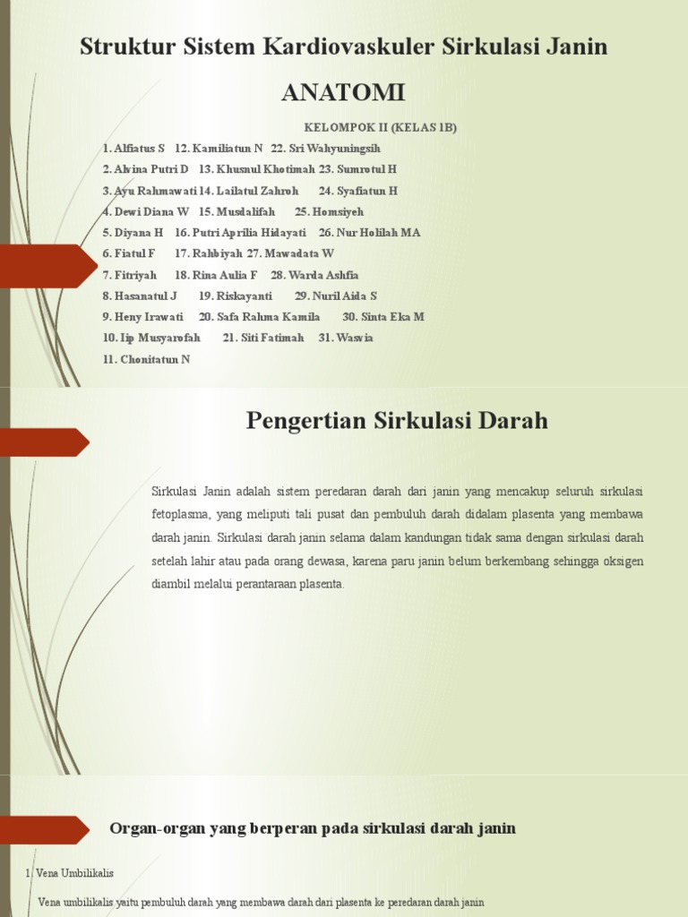 Sirkulasi Kardiovaskuler Janin dan Bayi | PDF | Perjalanan | Kesehatan Holistik