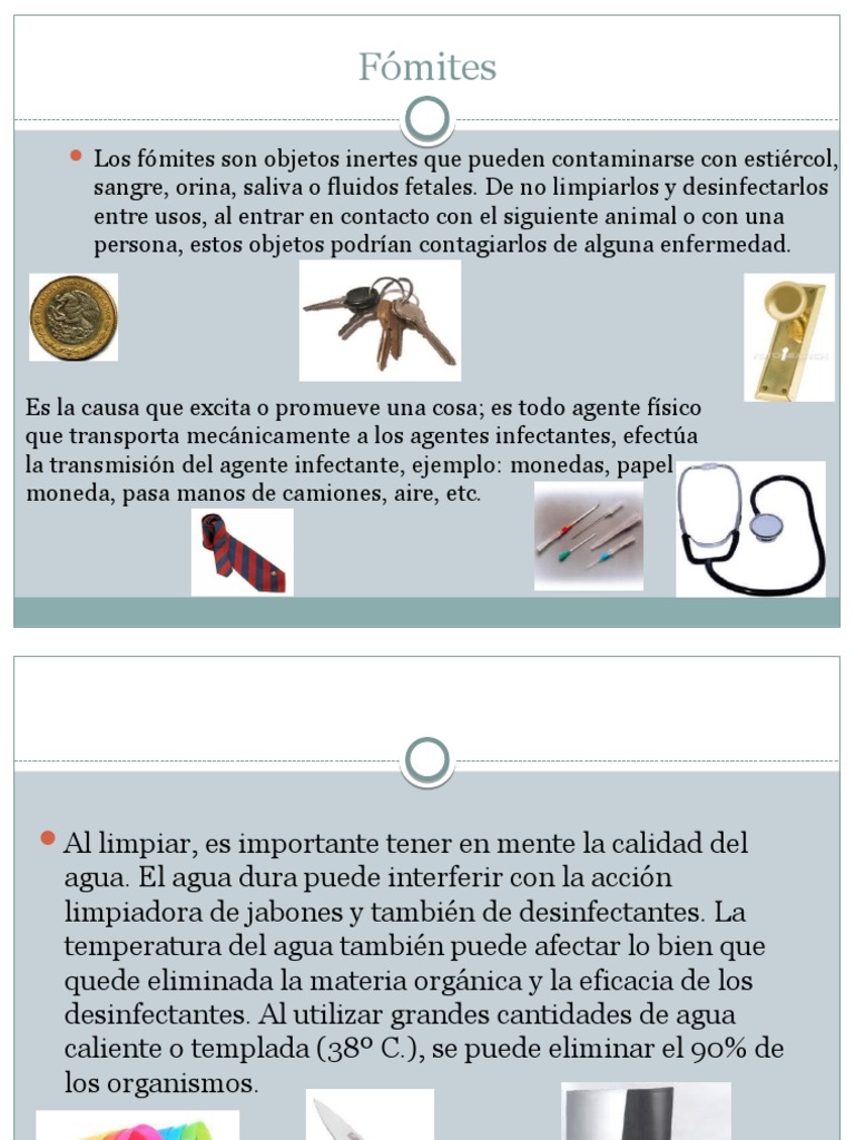 Fomites | PDF | Salud y bienestar