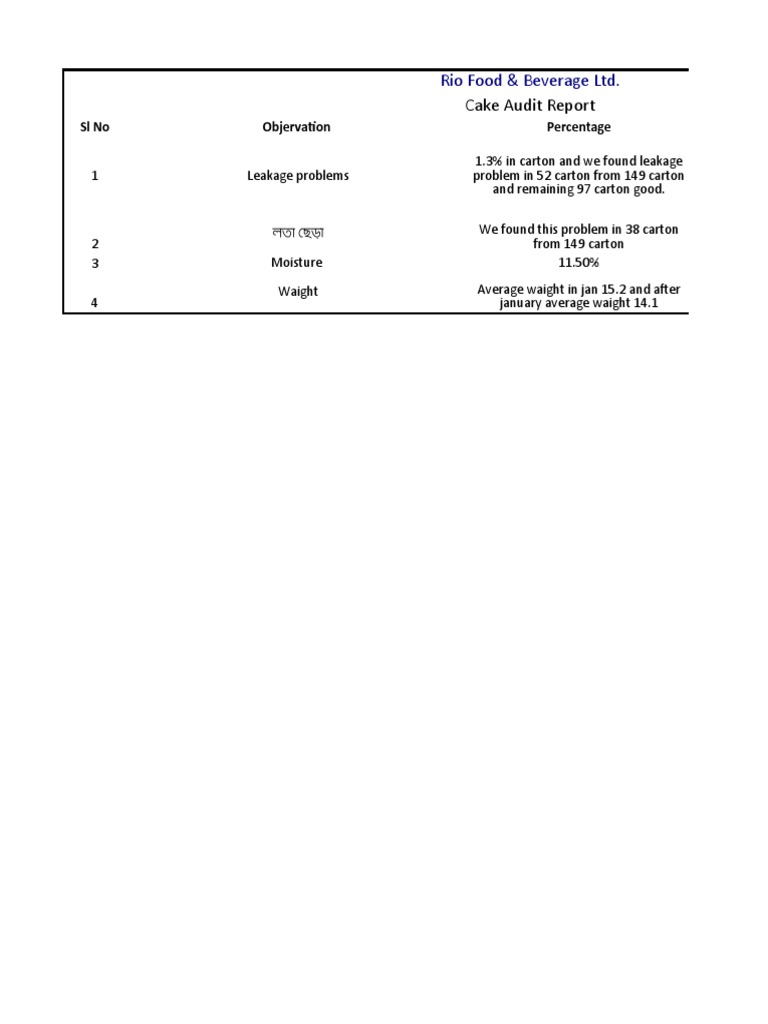 Cake Audit Report: Rio Food & Beverage LTD | PDF