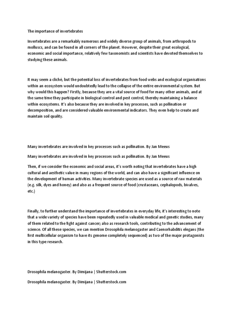 Importance of Invertebrates in Ecosystems | PDF | Conservation Biology ...