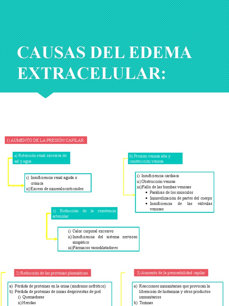 Causas Del Edema Extracelular | Descargar gratis PDF | Edema | Medicina ...